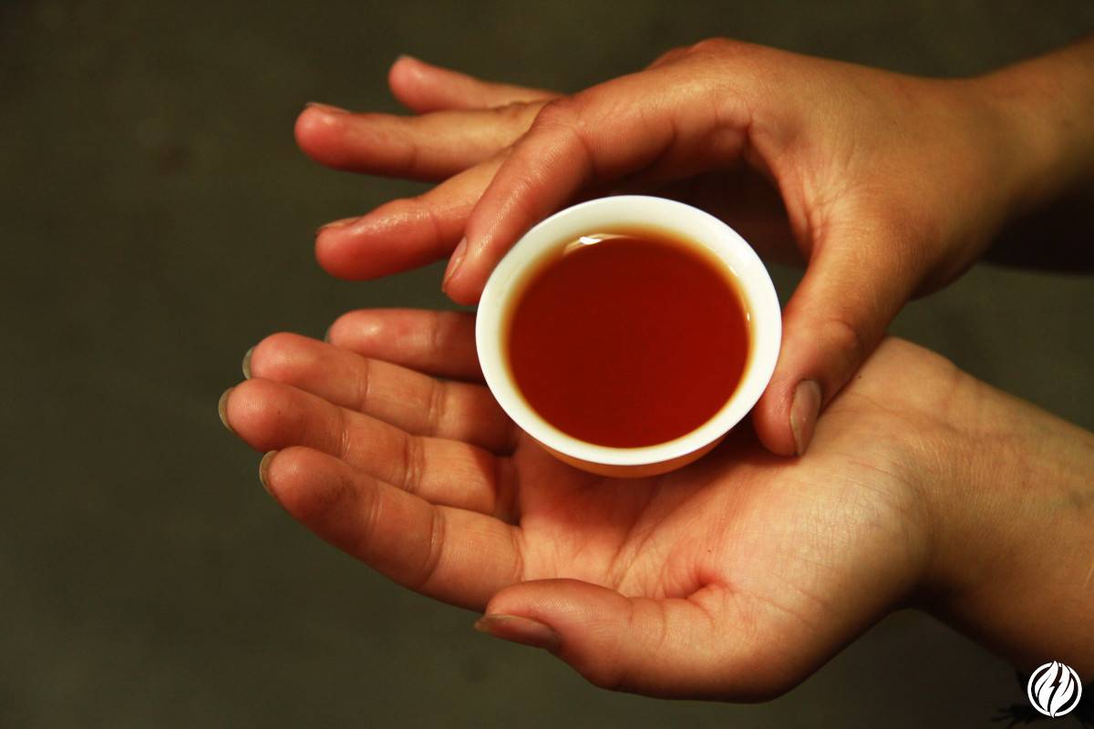 How to Drink Darjeeling Tea: Top 6 Expert Tea making Tips