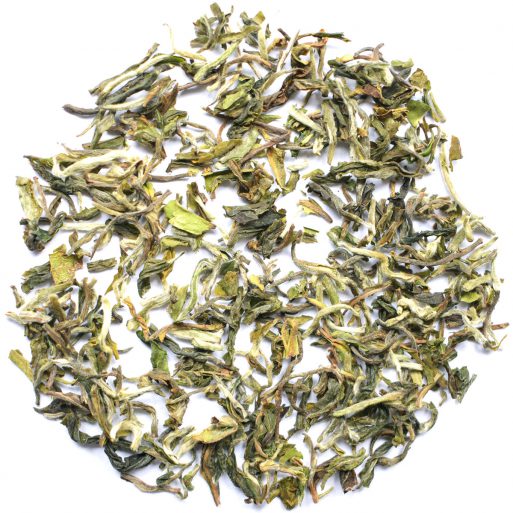 Darjeeling Tea SALE, Save BIG with Discount Price on Exclusive Teas