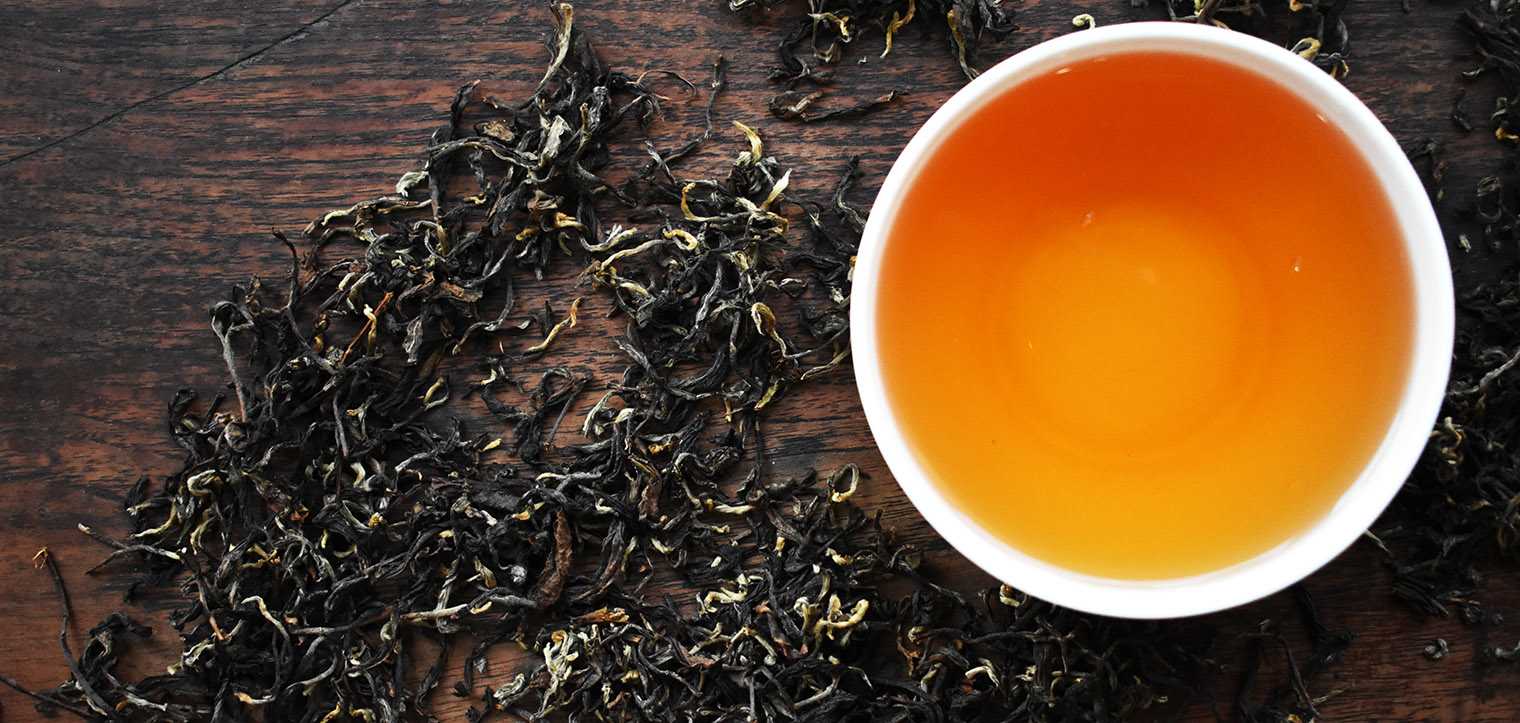 2025 Darjeeling Second Flush Muscatel Tea: Exquisite Fruity & Nutty ...