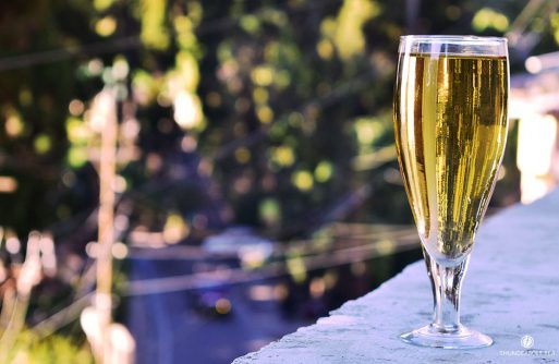 Discover the Golden Brew: Your Complete Guide to Darjeeling Tea