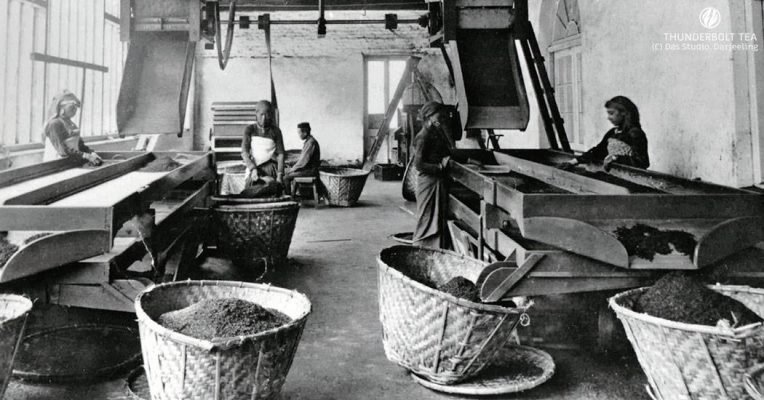 Discover the Golden Brew: Your Complete Guide to Darjeeling Tea