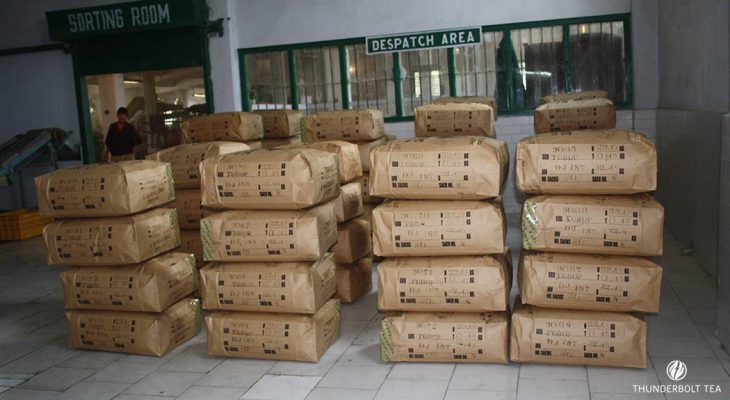 Discover the Golden Brew: Your Complete Guide to Darjeeling Tea