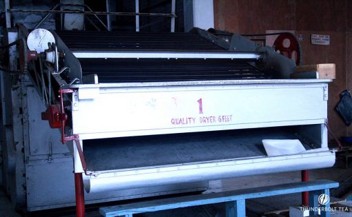 Discover the Golden Brew: Your Complete Guide to Darjeeling Tea