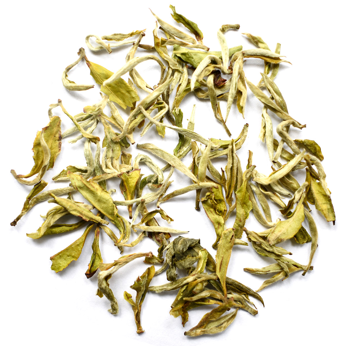 Margaret's Hope Moonlight Tea 2022 Darjeeling First Flush, Limited 5 kgs