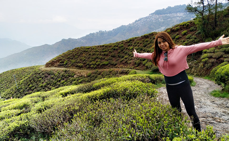 Arya Floral FTGFOP1 Darjeeling Tea 2025 - Classic First Flush Joy