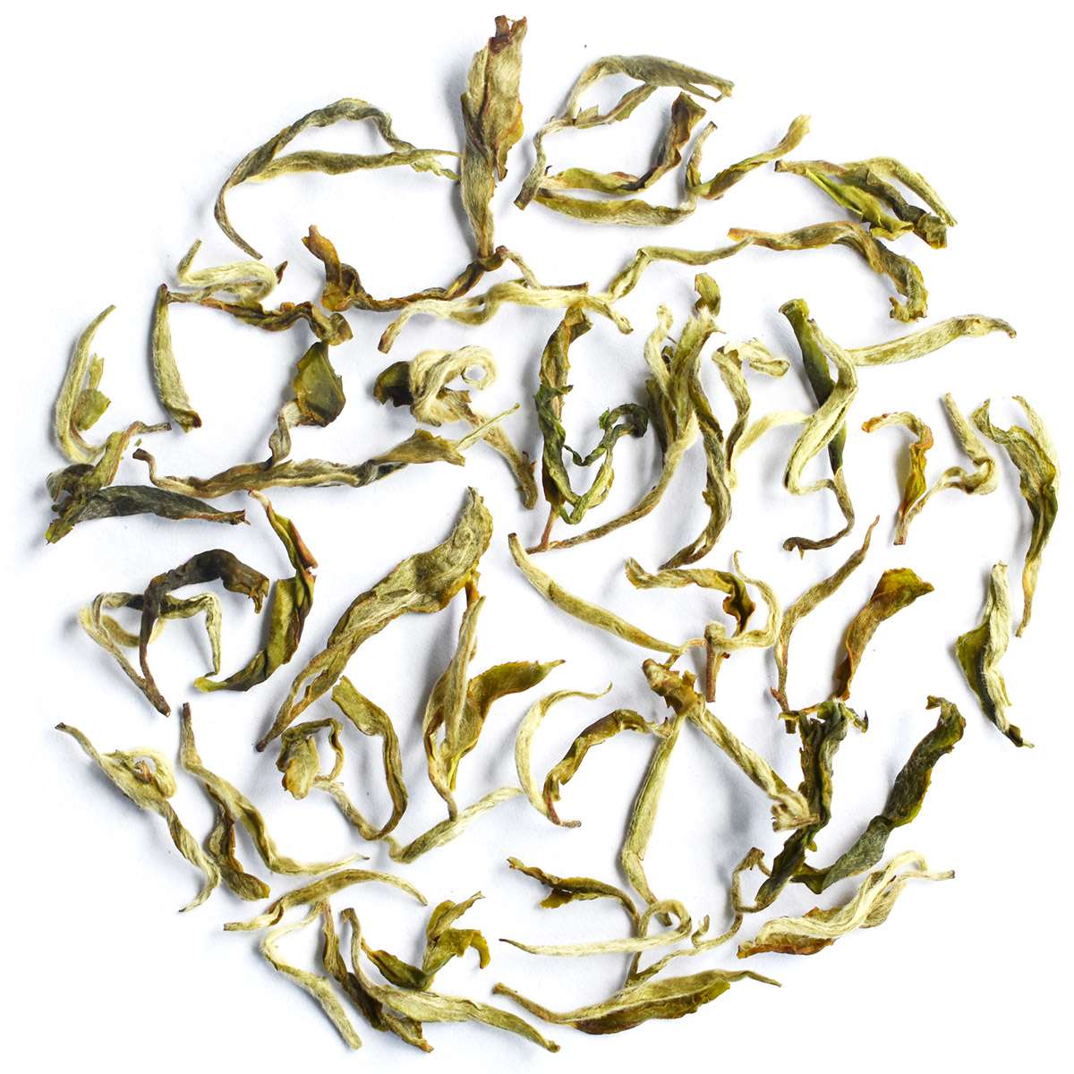 Castleton Moonlight Tea First Flush Darjeeling Tea