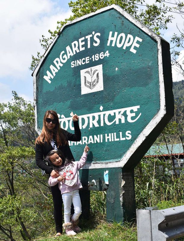 Margaret's Hope Moonlight Tea 2022 Darjeeling First Flush, Limited 5 kgs