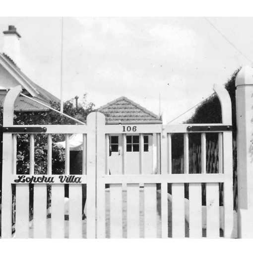 Lopchu Tea Estate Darjeeling, Golden Flowery Orange Pekoe Tea Online