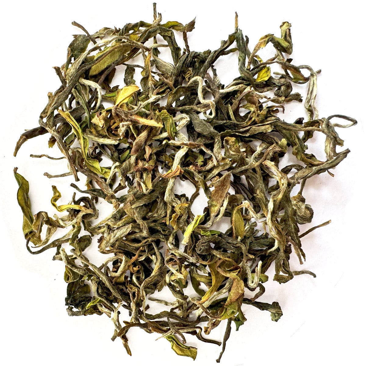 Darjeeling Mim Tea Estate "Mem Tara" Second Flush 2023