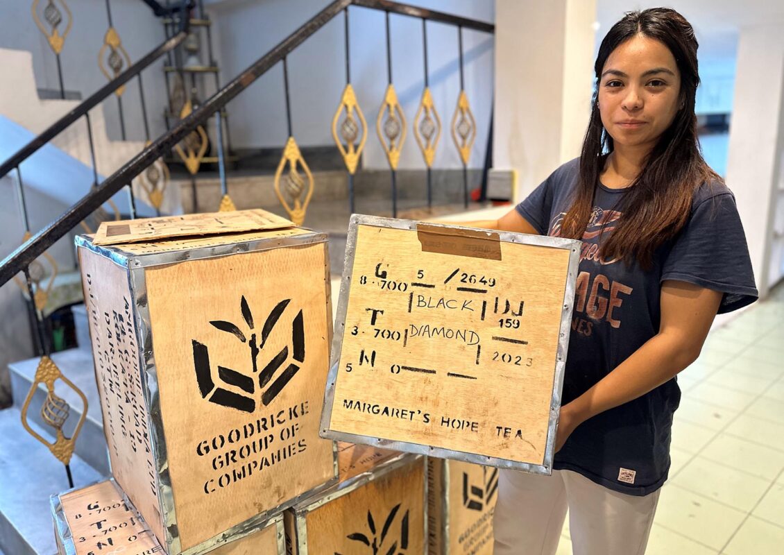 Darjeeling Margarets Hope "Black Diamond" Super Specialty Tea 2023 ...