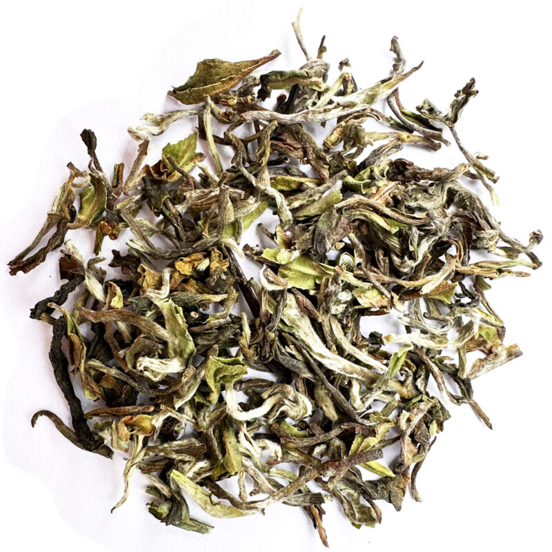First Flush Darjeeling Tea 2025 | Limited Darjeeling Harvest ...