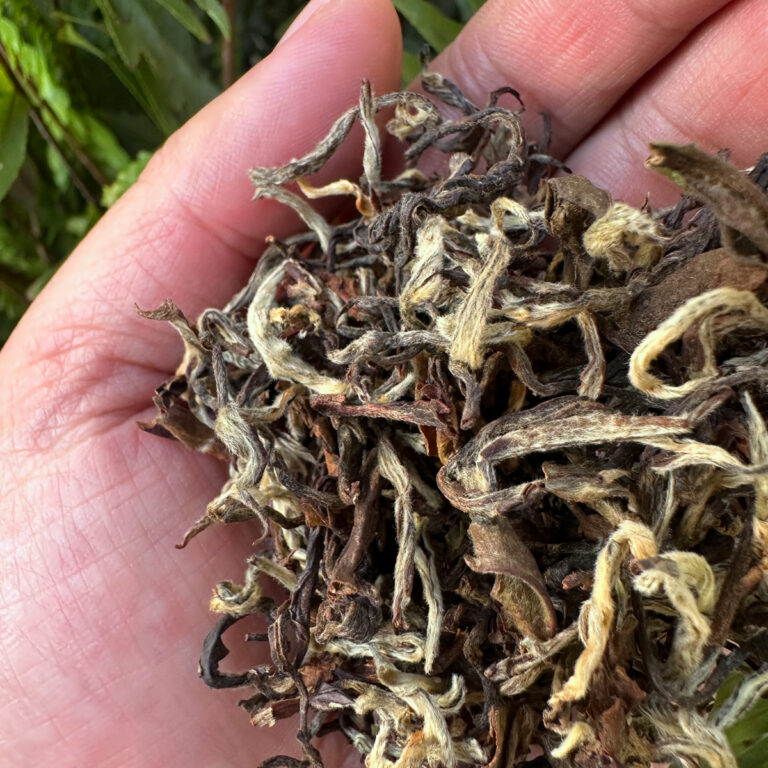 Arya King Diamond Tea - 2025 Gold Edition Darjeeling Second Flush